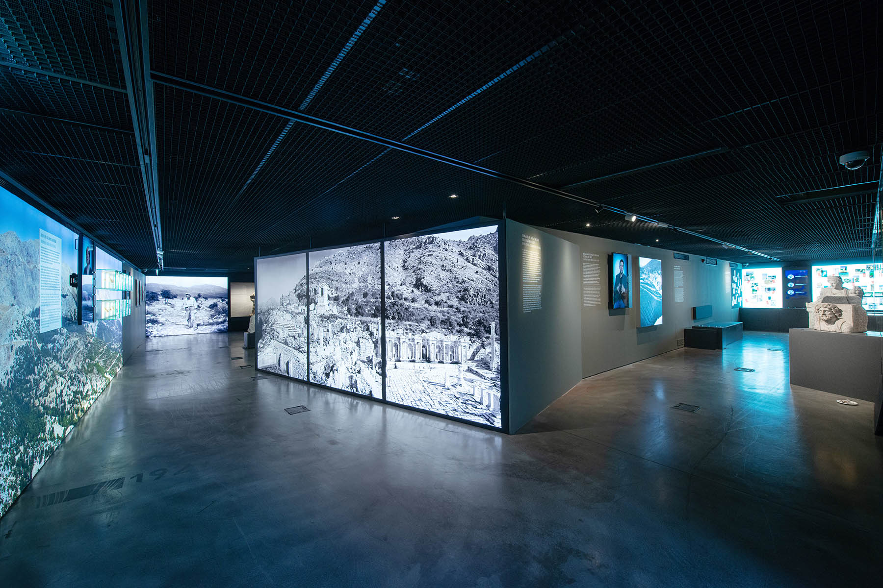 Pelin Alkan - College of Arts + Architecture